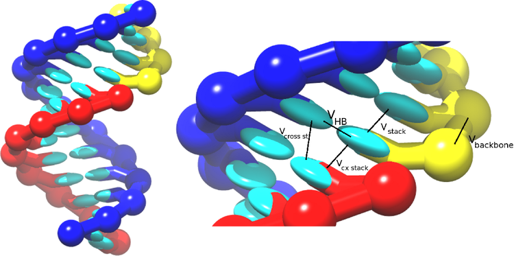 RNA model introduction - OxDNA