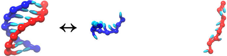 RNA duplex melting - OxDNA